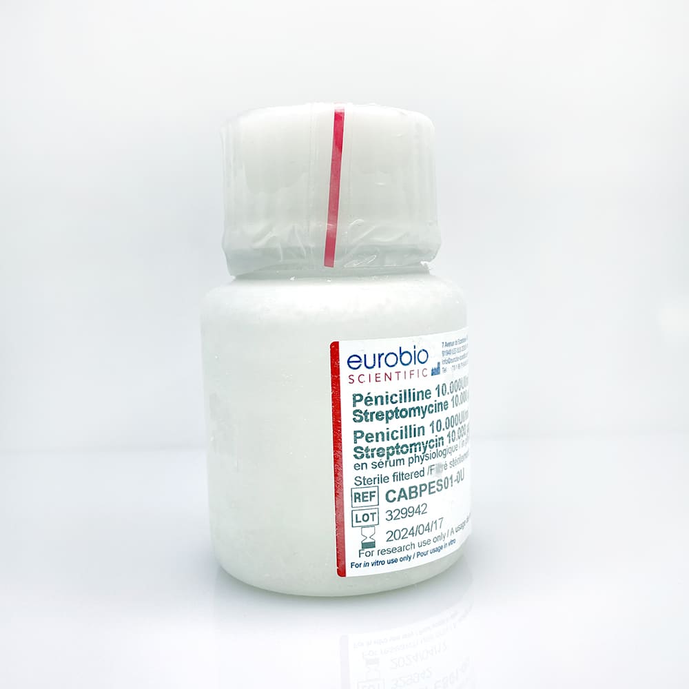 Penicillin 10,000 IU/ml – Streptomycin 10,000 µg/ml, Liquid